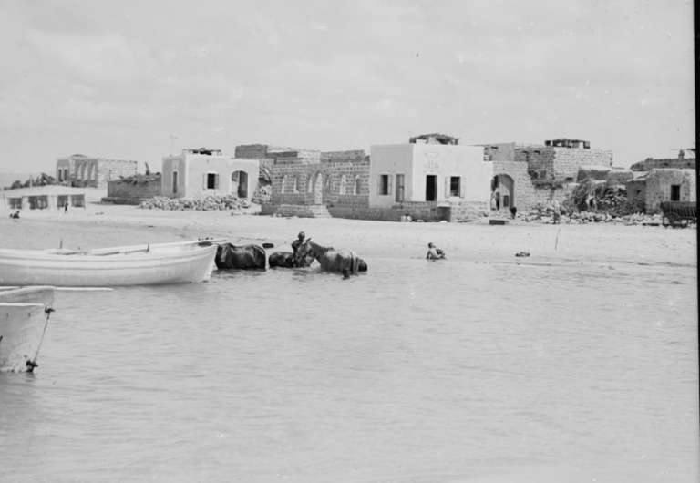 Et la plage de Tantoura ment - Charleroi Pour la Palestine